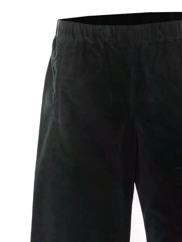 TRUE AVENUE Pensil Velvet-effect Palazzo Pants