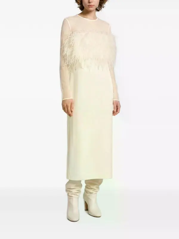 Alberta Ferretti Feather-detail Sheer-panel Midi Dress
