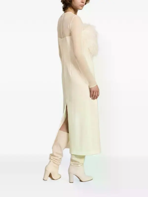 Alberta Ferretti Feather-detail Sheer-panel Midi Dress