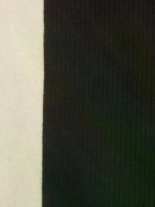 JOSEPH Colour-block Turtleneck Sweater
