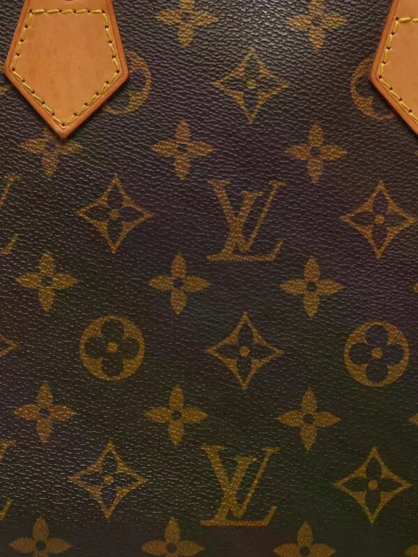 LOUIS VUITTON Pm Alma Tote Bag