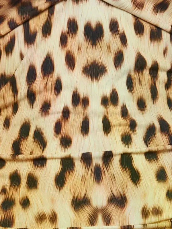 Roberto Cavalli Leopard-print Ruched Maxi Dress
