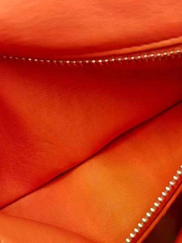 Loewe Mini Goya Puffer Crossbody Bag