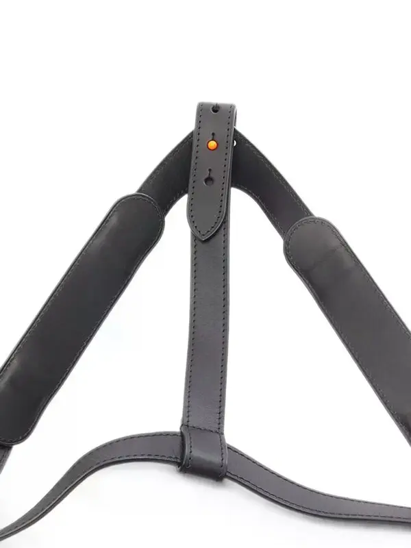 LOUIS VUITTON 2019 Monogram Utility Harness Bag Crossbody Bag