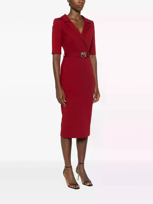 Pinko Love Birds Belted Dress