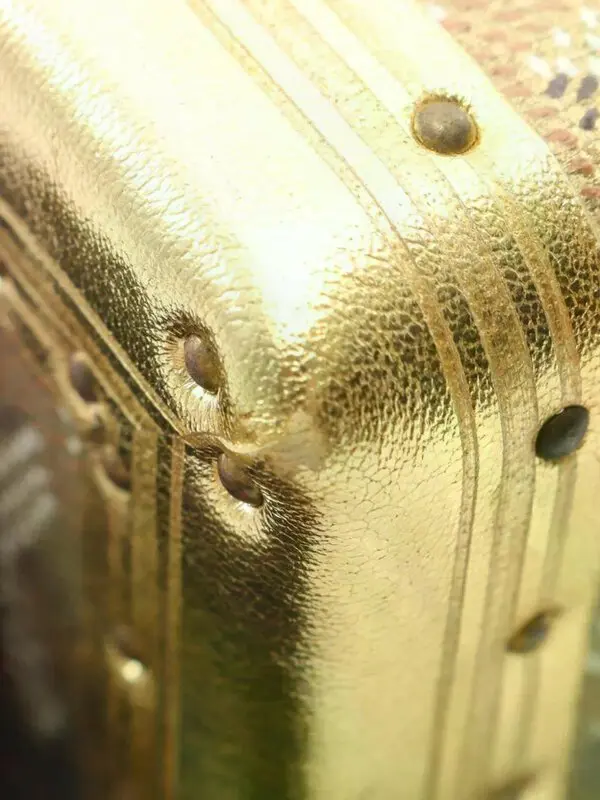 Goyard Saint-honoré Trunk Bag