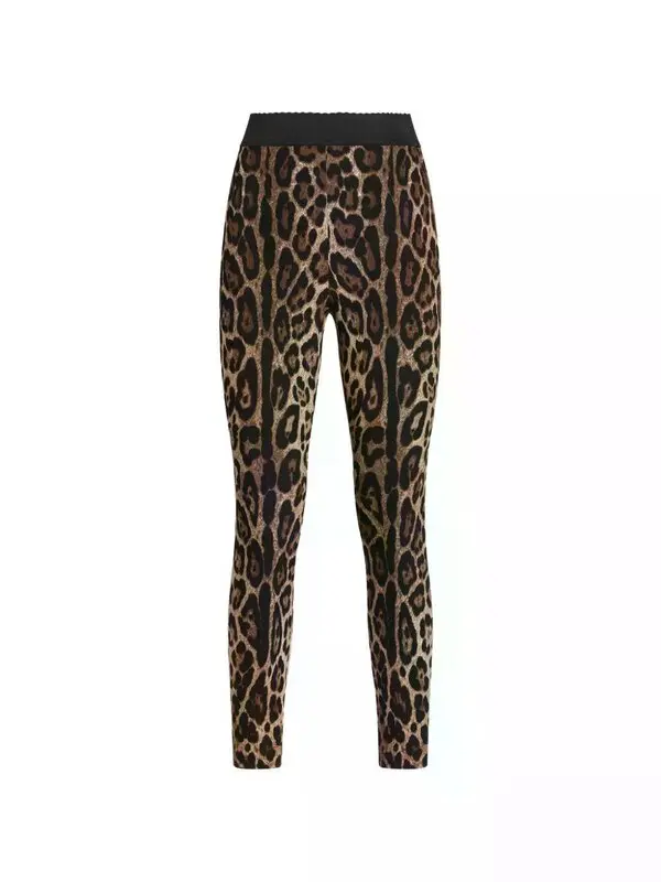 Dolce & Gabbana Leo-print Cady Leggings
