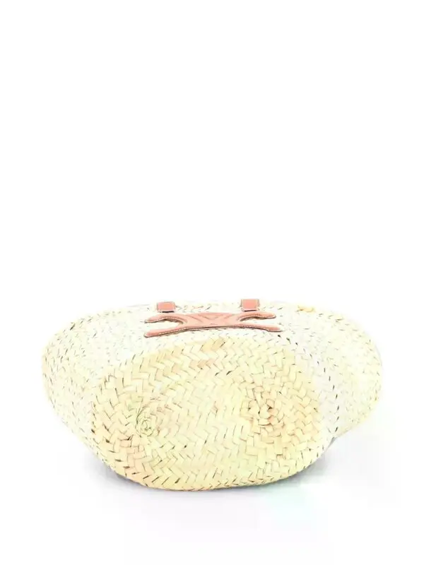 Celine Triomphe Basket Raffia With Leather Teen Shoulder Bag