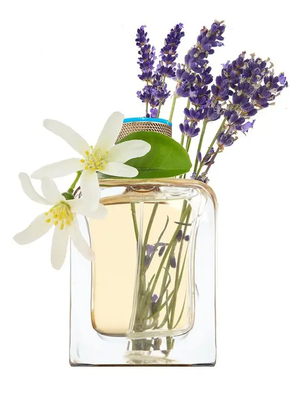 VERONIQUE GABAI Eau D'azur Eau De Parfum