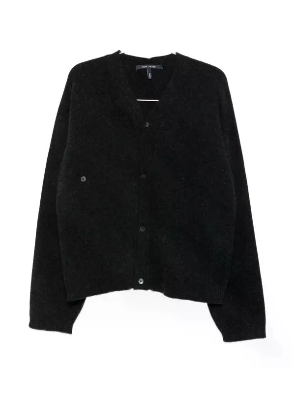 Sofie D'hoore Meroe V-neck Wool Cardigan