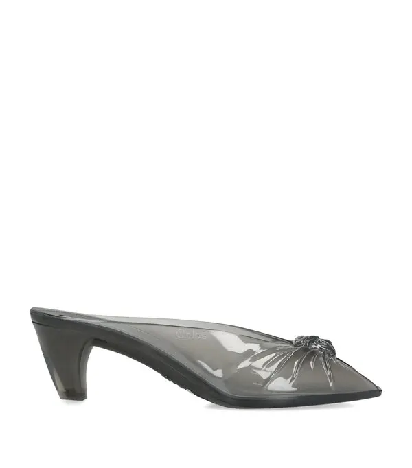 Chloé Jelly Heeled Mules 30