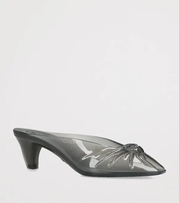 Chloé Jelly Heeled Mules 30