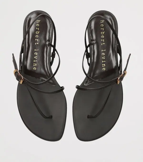 HERBERT LEVINE Black Leather Starry Eyed Flat Sandals - Brown