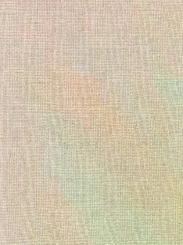 Fabiana Filippi Fine-knit Scarf
