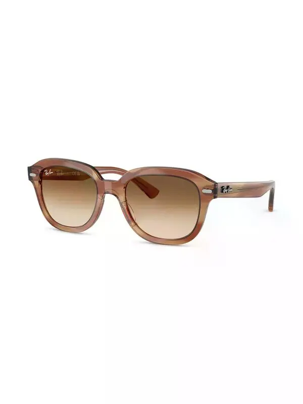 Ray-ban Erik Sunglasses