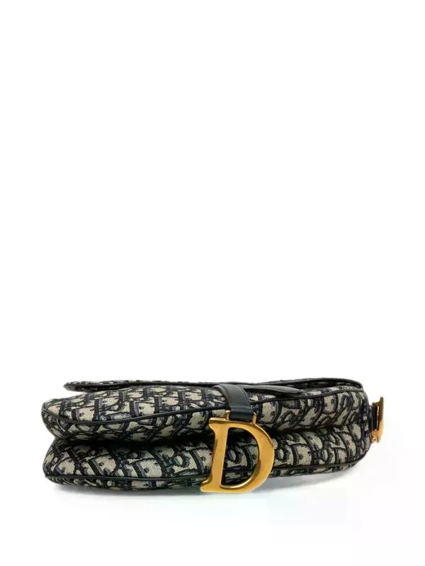 Dior 2019 Oblique Canvas Saddle Bag Shoulder Bag