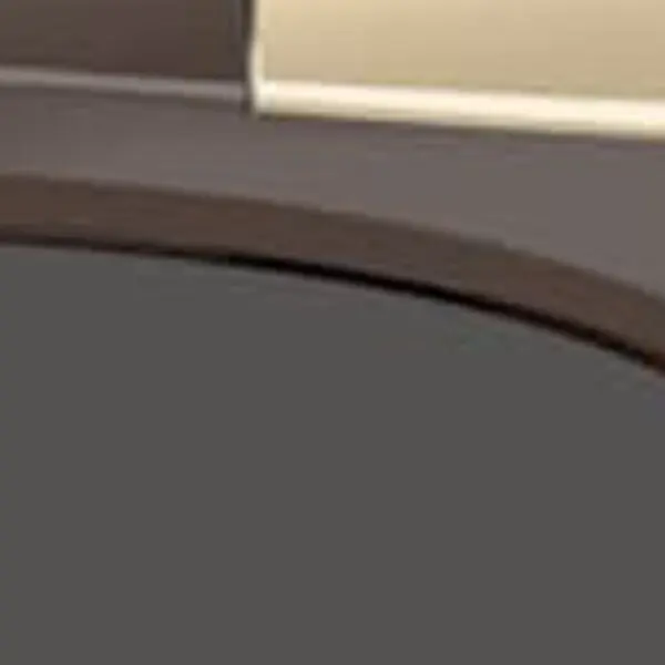 Burberry Injected Be4451u Rectangle Sunglasses