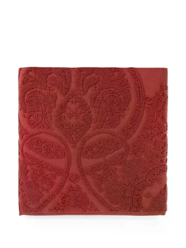 Etro Paisley Jacquard-weave Bath Towel