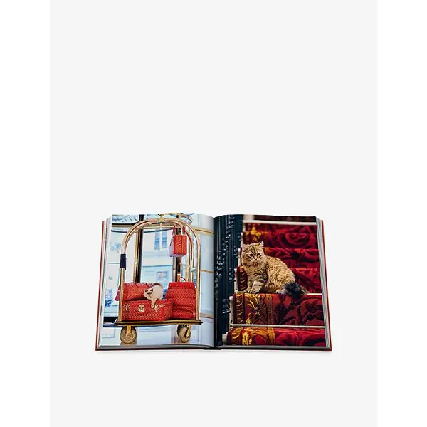 WH SMITH Assouline Chic Cats Hardcover Book