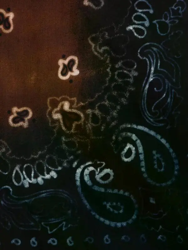 Destin Paisley-print Scarf
