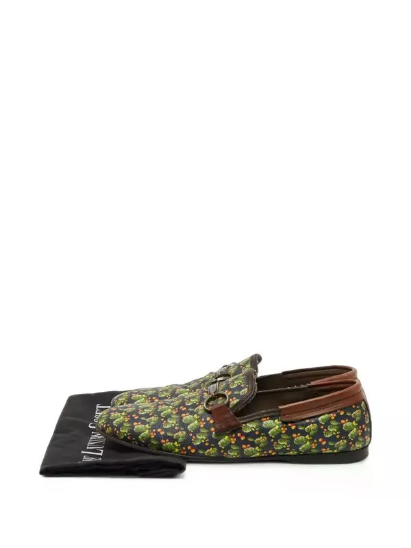 Dolce & Gabbana Amalfi Cactus-print Loafers