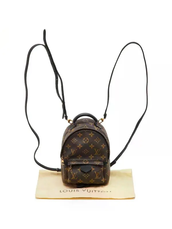 LOUIS VUITTON Mini Palm Springs Monogram Backpack - Brown