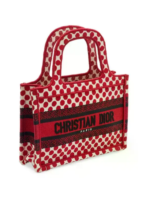 Dior 2020 Mini Dioramour Book Tote Bag