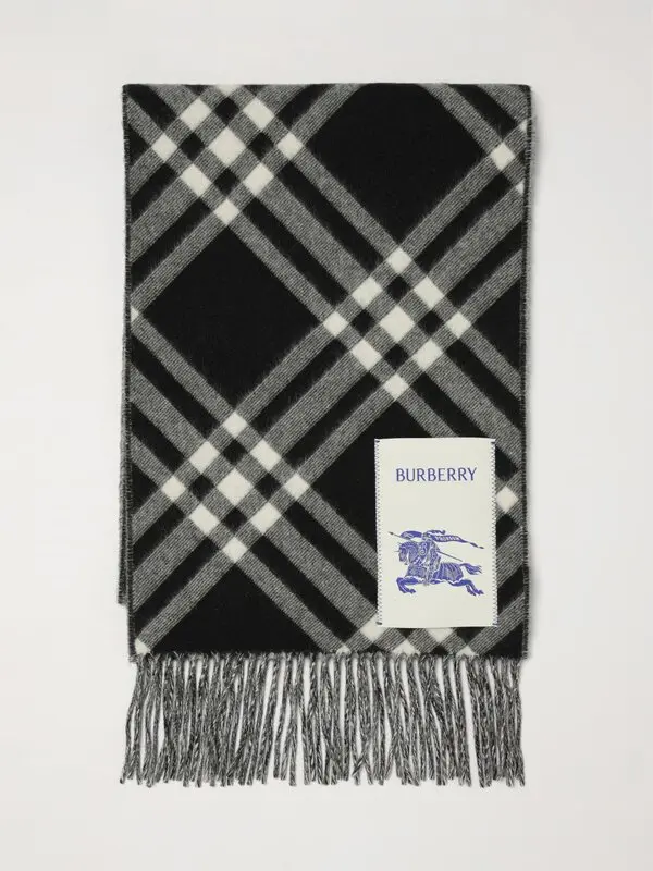 Burberry Scarf Colour
