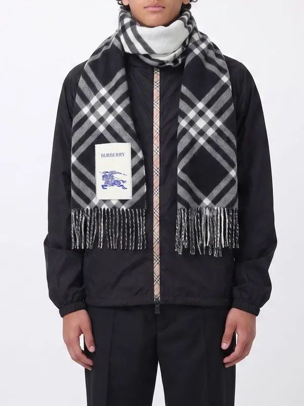 Burberry Scarf Colour