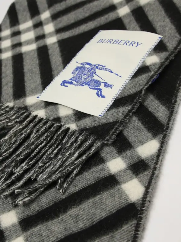 Burberry Scarf Colour