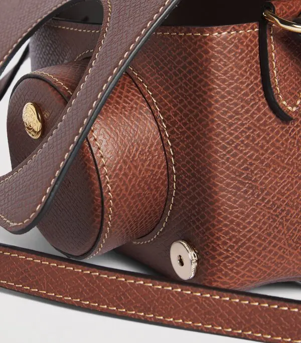 Longchamp Leather Épure Camera Bag