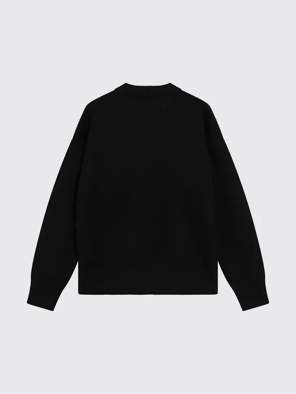 AMI Paris Jumper Colour