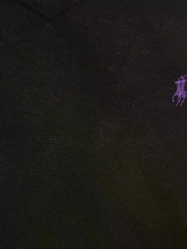 Polo Ralph Lauren V-neck Logo Embroidered Sweater