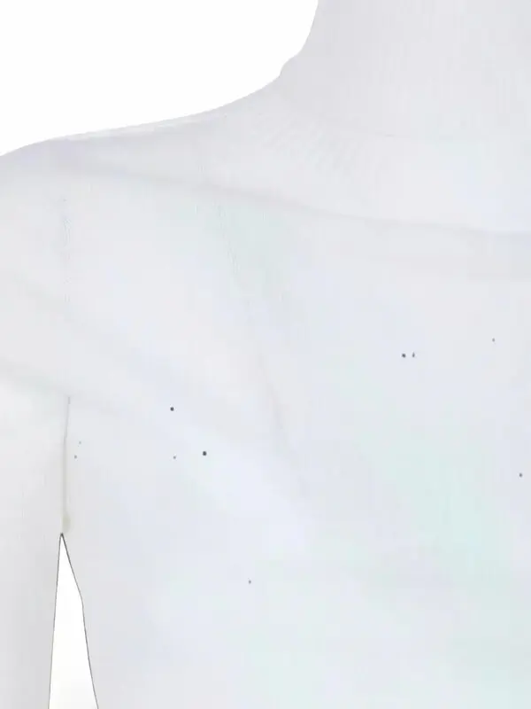 D.exterior Roll-neck Wool Sweater