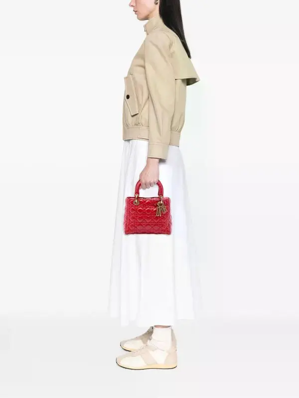 Dior Supple Lady Satchel