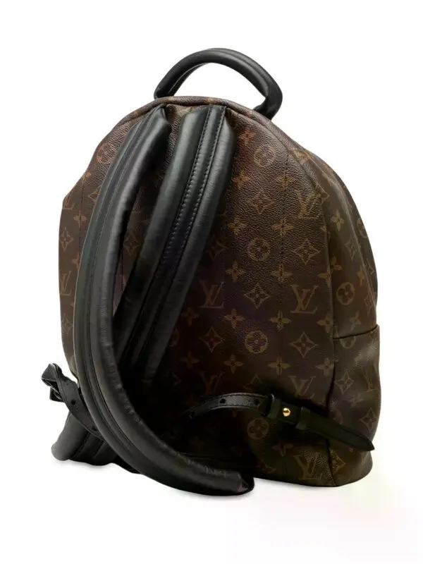 LOUIS VUITTON Monogram Palm Springs Mm Backpack