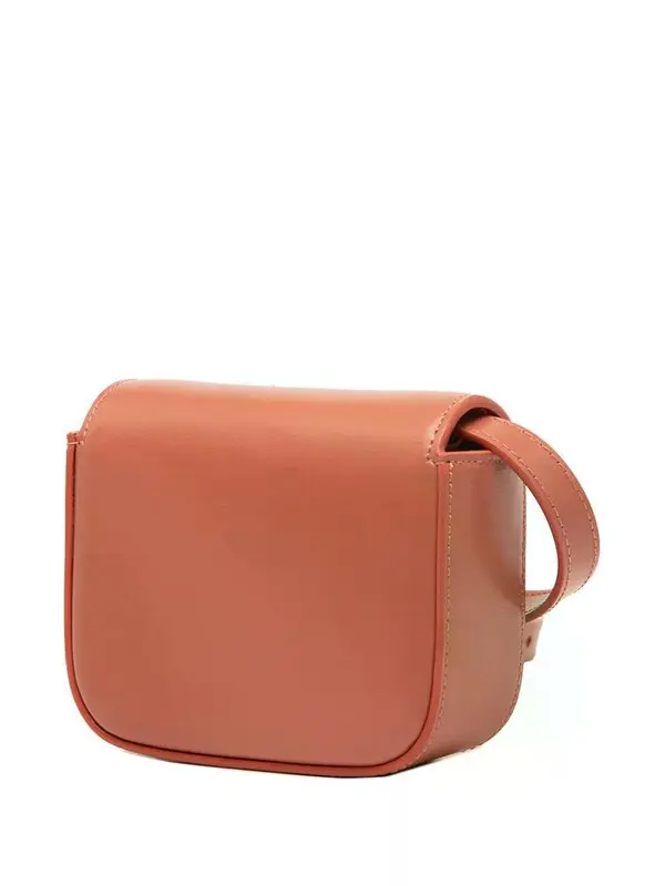 Celine Shiny Calfskin Triomphe Cross Body Bag - Brown