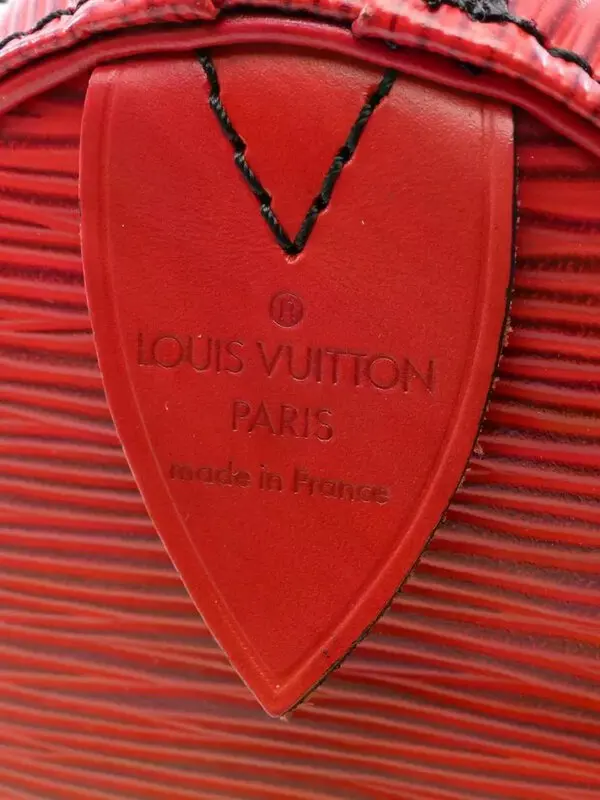 LOUIS VUITTON Epi Speedy 25 Tote Bag
