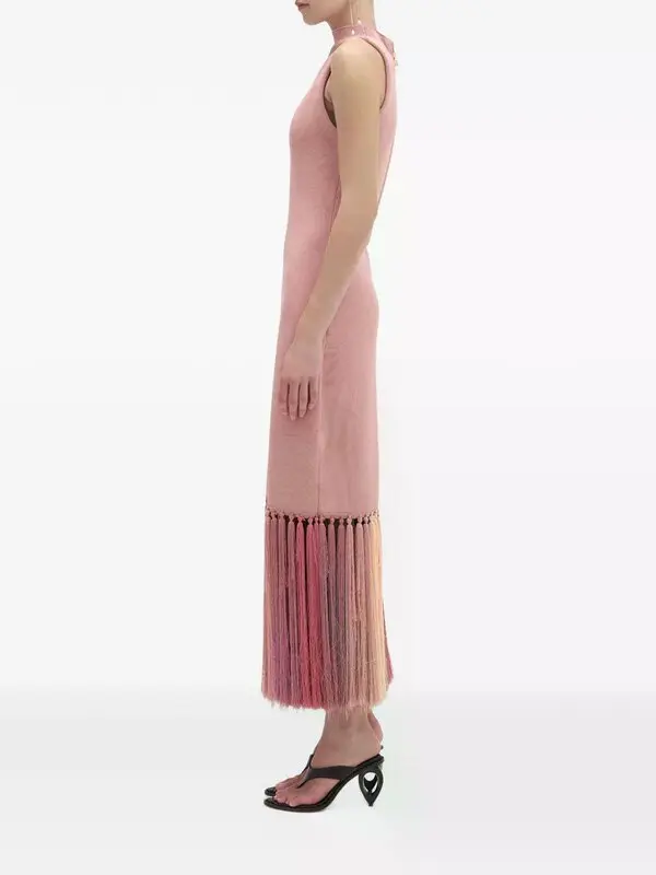 Aje Sofina Tassel-trim Dress