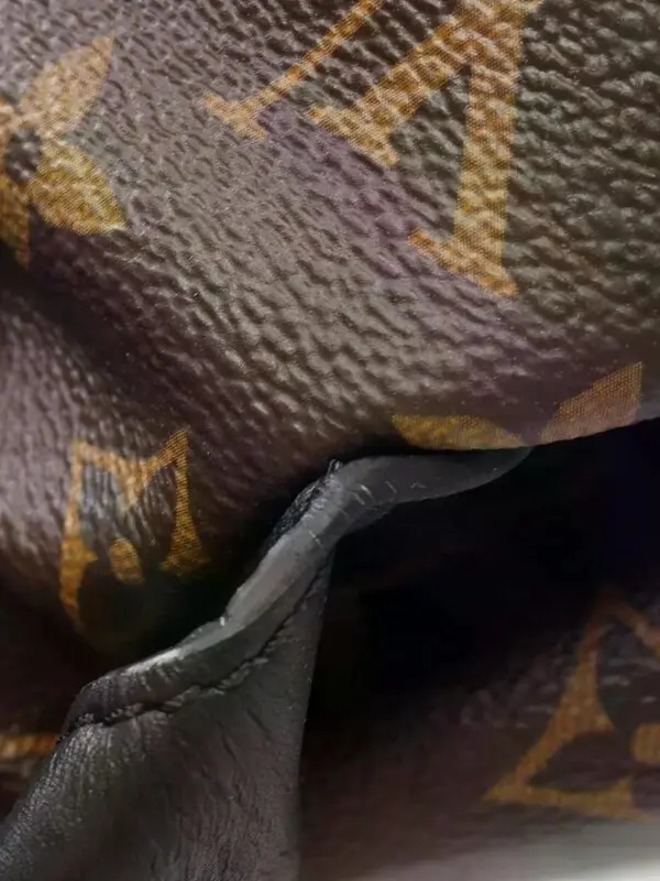 LOUIS VUITTON Monogram Palm Springs Backpack - Brown