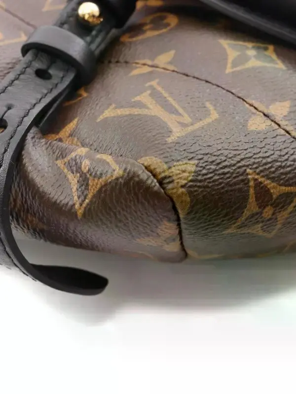 LOUIS VUITTON Monogram Palm Springs Backpack - Brown