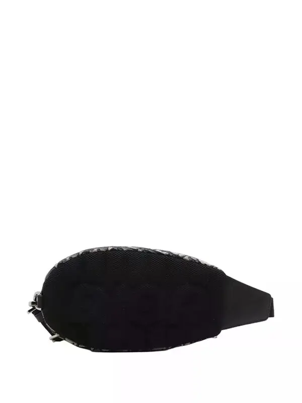 Dior Oblique Canvas Scarab Crossbody Bag