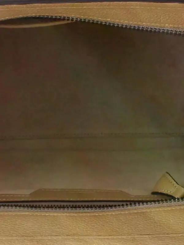 Celine 2010-2026 Micro Drummed Calfskin Luggage Tote Bag