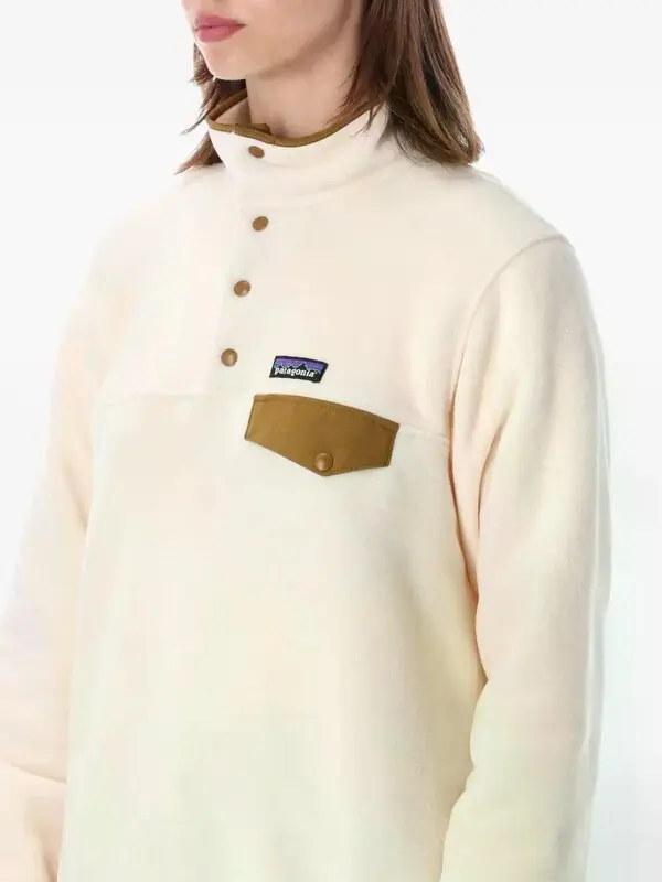 Patagonia Synchilla Fleece Pullover