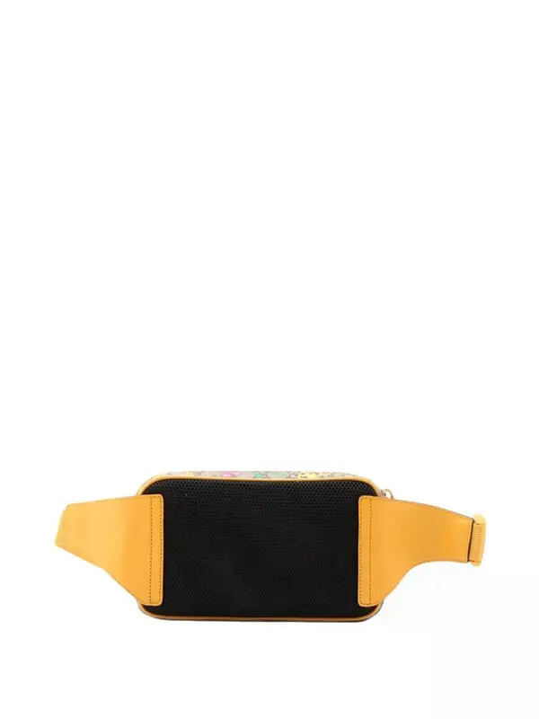 Gucci 2000-2015 Small Gg Supreme Flora Web Ophidia Belt Bag