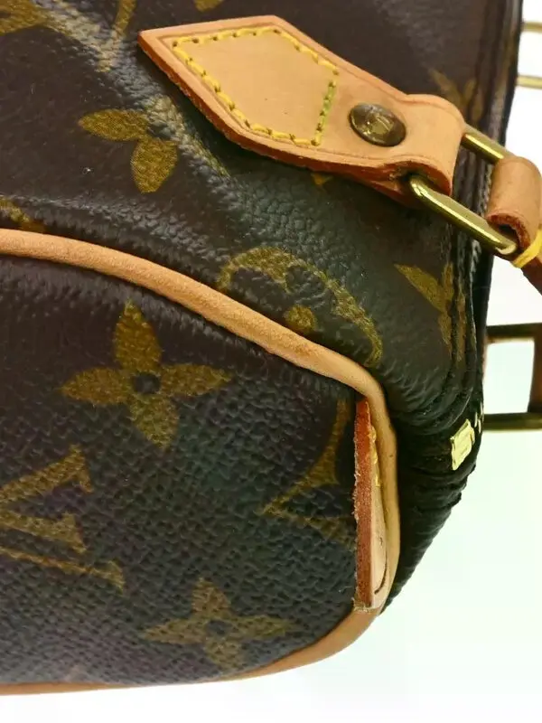 LOUIS VUITTON Monogram Canvas Speedy Handbag
