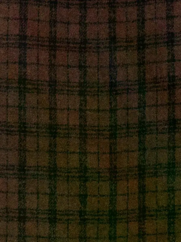 Destin Check-pattern Frayed Scarf
