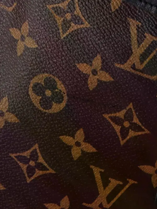 LOUIS VUITTON Davis Handbag Macassar Monogram Canvas Tote Bag