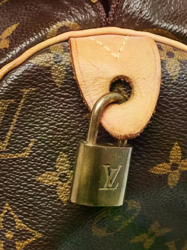 LOUIS VUITTON Speedy 30 Monogram Tote Bag