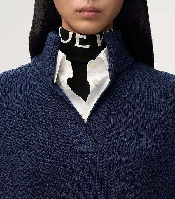 Loewe Layered Shirt-sweater Mini Dress